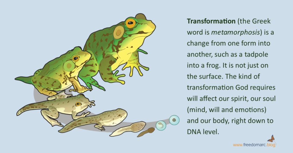 166. Tadpoles and Caterpillars – Sons of Issachar